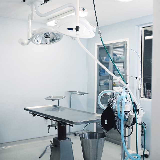 Hospital Tour - Lakeland, FL - Cleveland Heights Animal Hospital